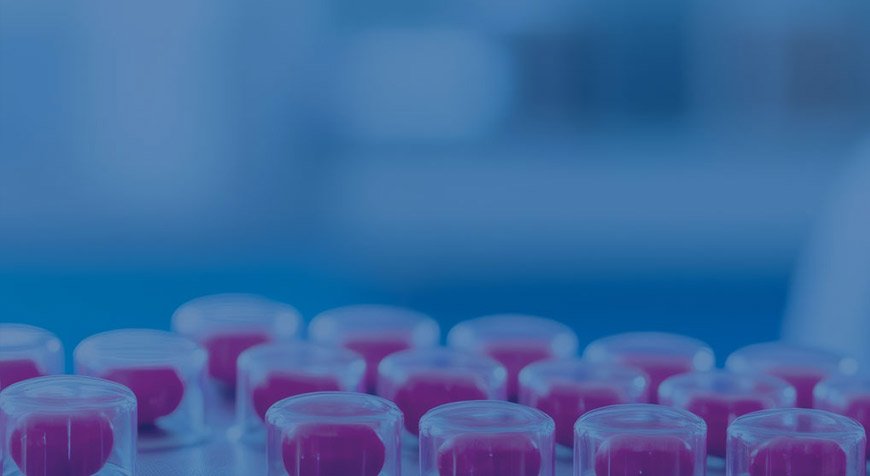 Axcelead Drug Discovery Partners, Inc.